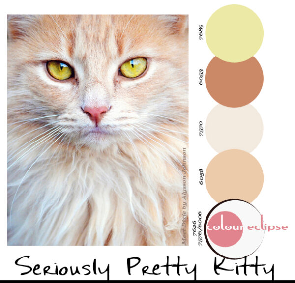 Paint Palettes {Seriously Pretty Kitty} - Concepts and Colorways