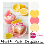 HOT PINK DAYDREAM - Concepts and Colorways