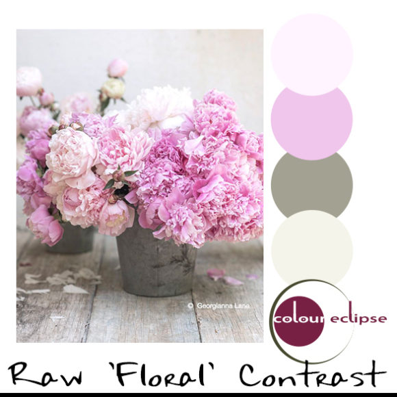 RAW FLORAL CONTRAST - Concepts and Colorways