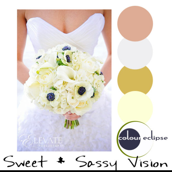 sweet-and-sassy-vision-color-palette - Concepts and Colorways