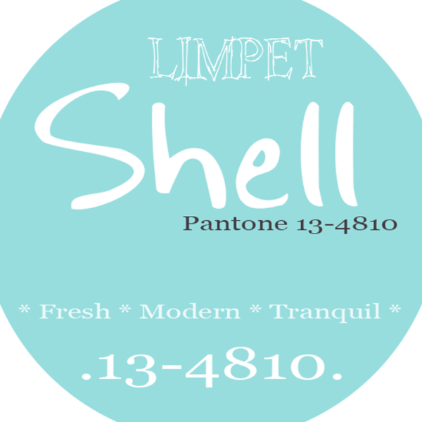 PANTONE LIMPET SHELL - Concepts and Colorways