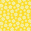 PANTONE BUTTERCUP - Concepts and Colorways