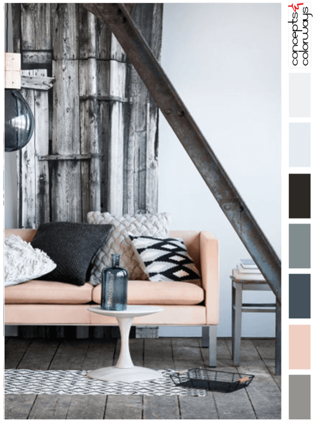 PEACH COLOR POP - Concepts and Colorways