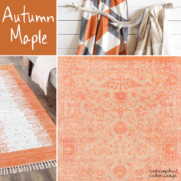 pantone-autumn-maple-color-trends-M - Concepts and Colorways