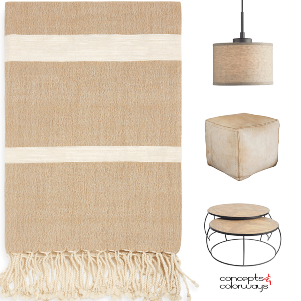 PANTONE WARM SAND - Concepts and Colorways