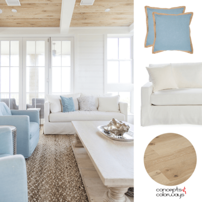 A TAN AND BLUE COLOR PALETTE FOR COASTAL LIVING ROOMS - Concepts and ...