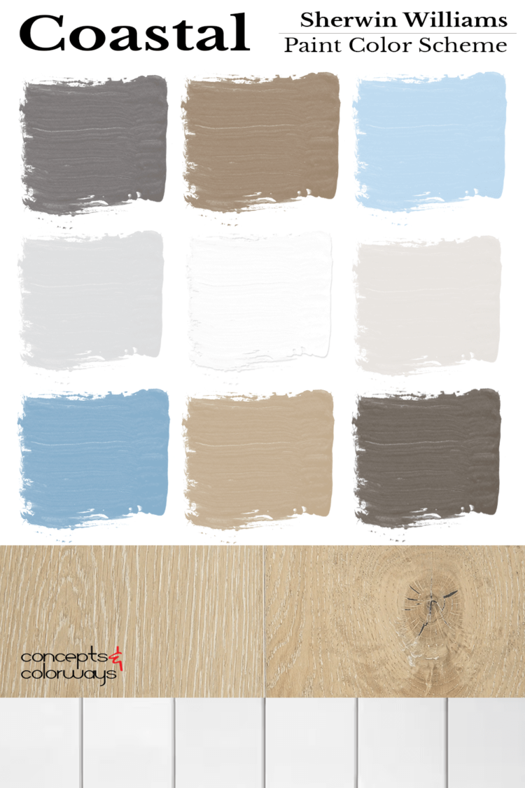 A TAN AND BLUE COLOR PALETTE FOR COASTAL LIVING ROOMS - Concepts and ...