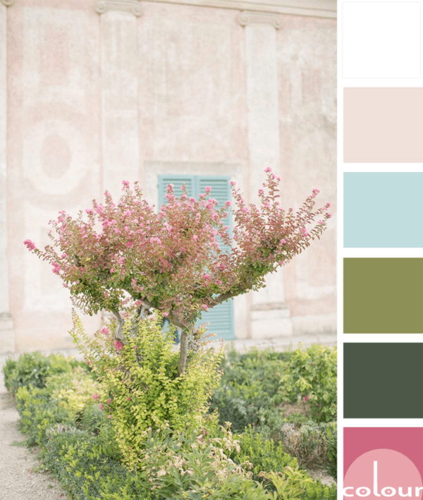 A PINK AND GREEN COLOR PALETTE WITH A TOUCH OF AQUA BLUE - Concepts and ...